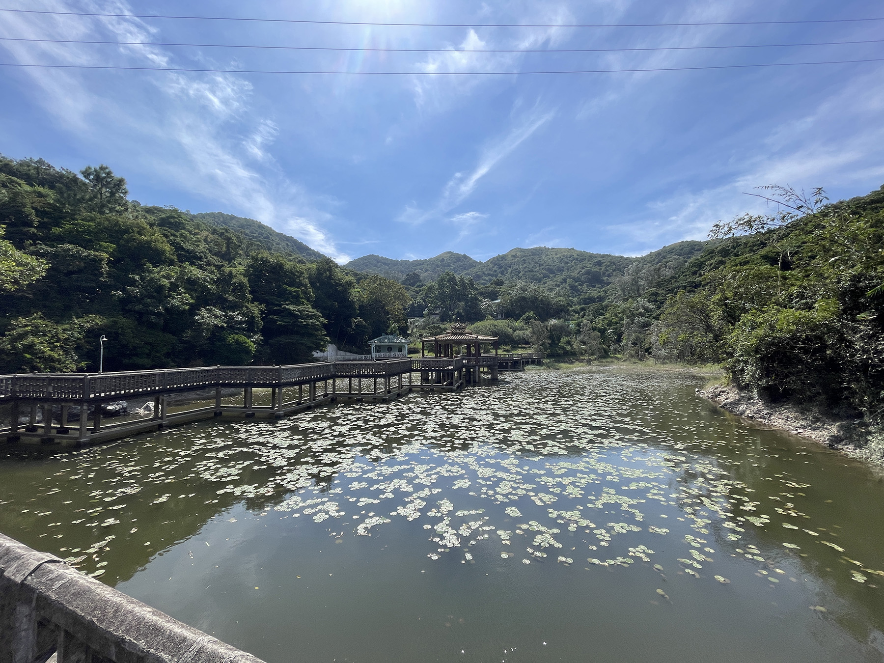 South Development and Sustainable Lantau Office - Ecological Studies